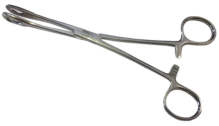Pinzas y Forceps para piercing 【 Acero quirúrgico 316L